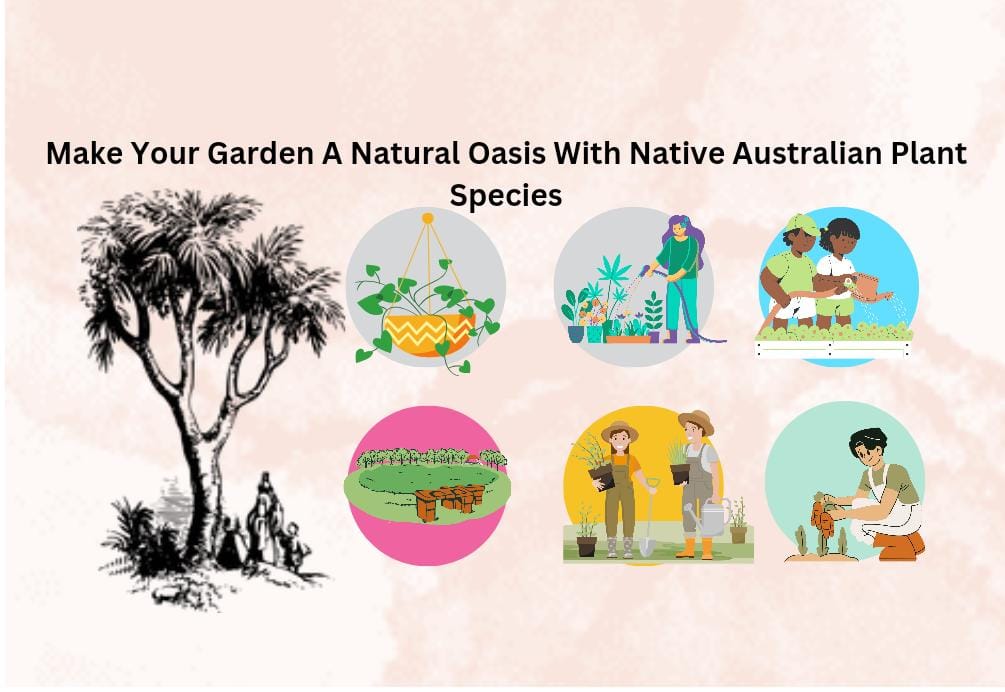 Make Your Garden A Natural Oasis With Native Australian Plant Species ...